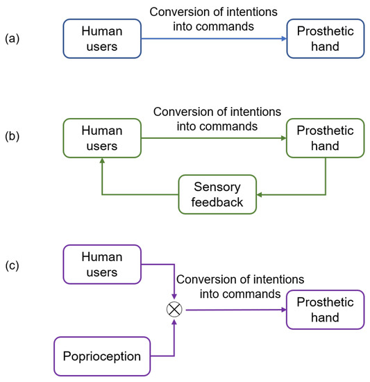 A Review of Myoelectric Control for Prosthetic Hand Manipulation