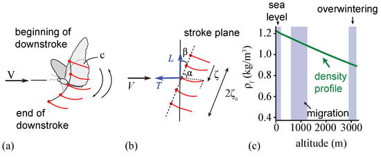 Biomimetics | Free Full-Text | Power Benefits of High-Altitude Flapping ...