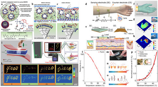 Construction of Wearable Touch Sensors by Mimicking the Properties of ...