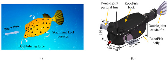 Central Pattern Generator (CPG)-Based Locomotion Control and ...