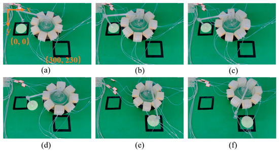 A Fluid-Driven Loop-Type Modular Soft Robot with Integrated Locomotion and Manipulation Capability