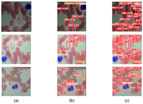 Biomimetics | Free Full-Text | SDE-YOLO: A Novel Method for Blood Cell ...