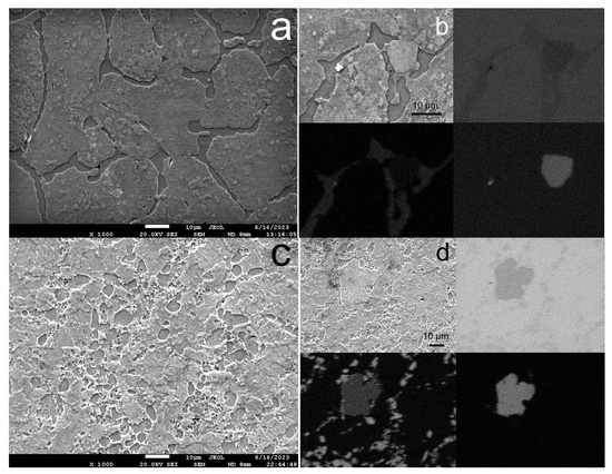 Bioactivity Features of a Zn-1%Mg-0.1%Dy Alloy Strengthened by Equal-Channel Angular Pressing
