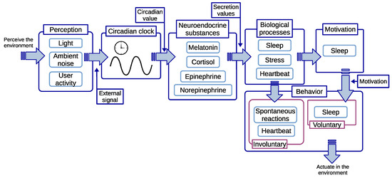 Biomimetics | Free Full-Text | Adaptive Circadian Rhythms for Autonomous and Biologically ...