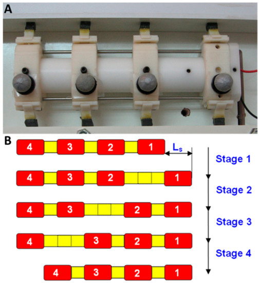 Wave-like Robotic Locomotion between Highly Flexible Surfaces and ...