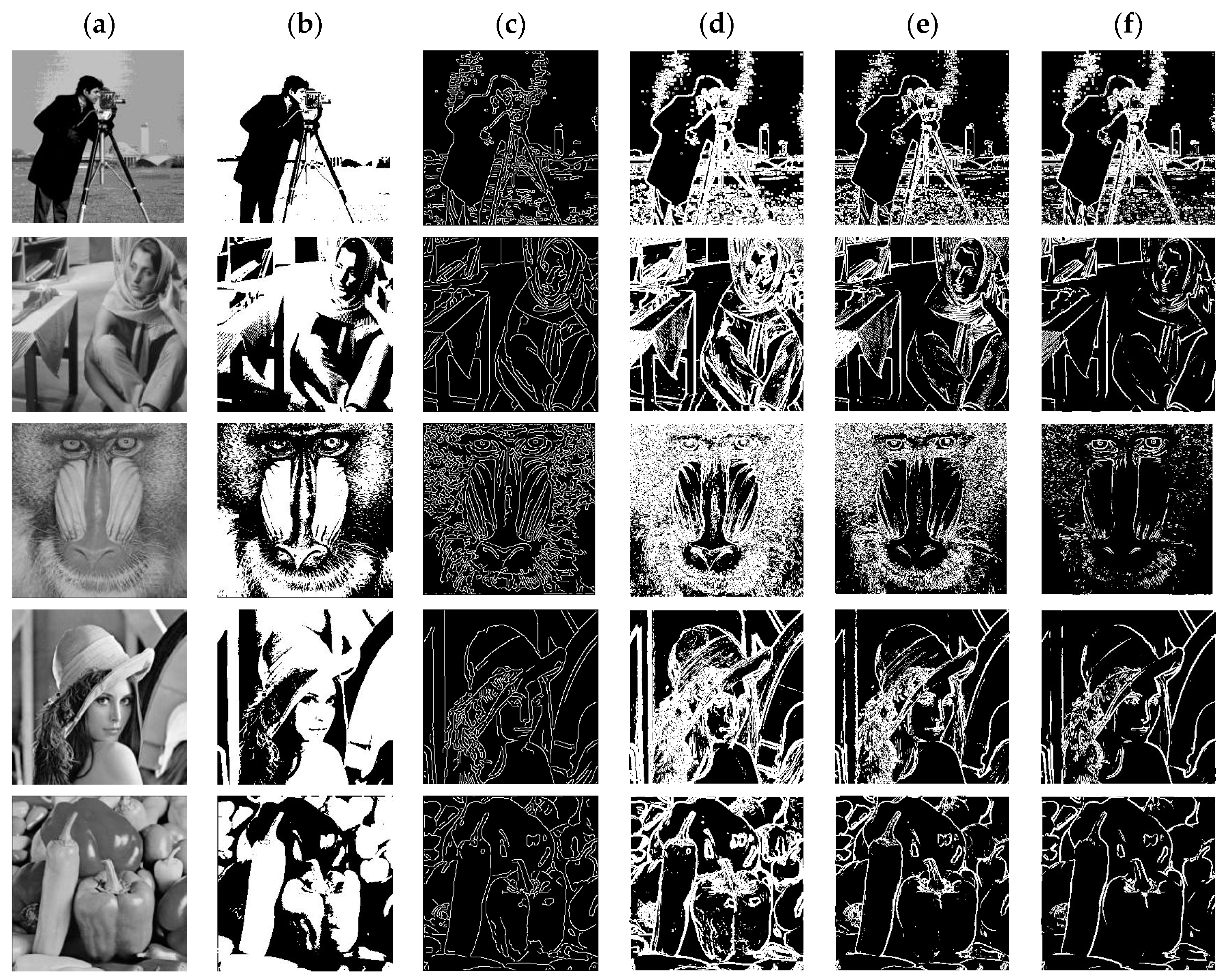 Otsu Multi-Threshold Image Segmentation Based on Adaptive Double-Mutation Differential Evolution