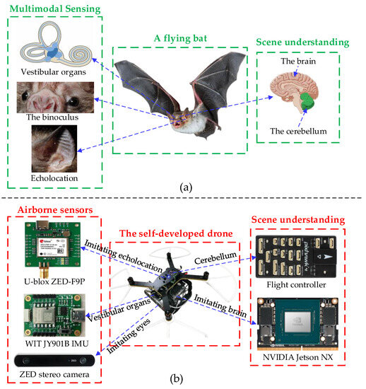 Perceiving like a Bat: Hierarchical 3D Geometric–Semantic Scene ...