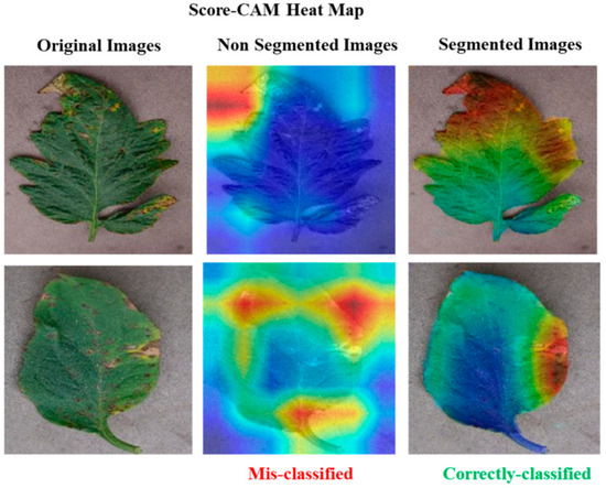 An Automatic-Segmentation- and Hyper-Parameter-Optimization-Based Artificial Rabbits Algorithm ...