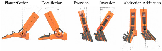 A Bio-Inspired Arched Foot with Individual Toe Joints and Plantar Fascia