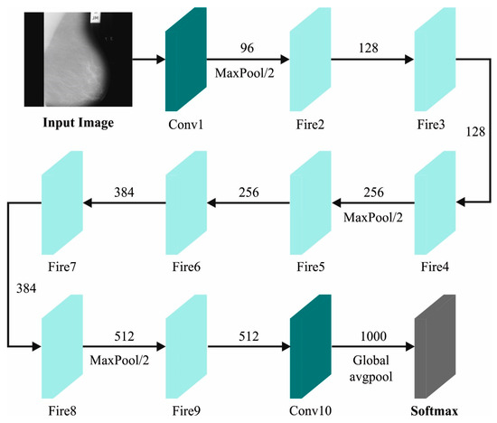 Biomimetics | Free Full-Text | Intelligent Breast Mass Classification ...