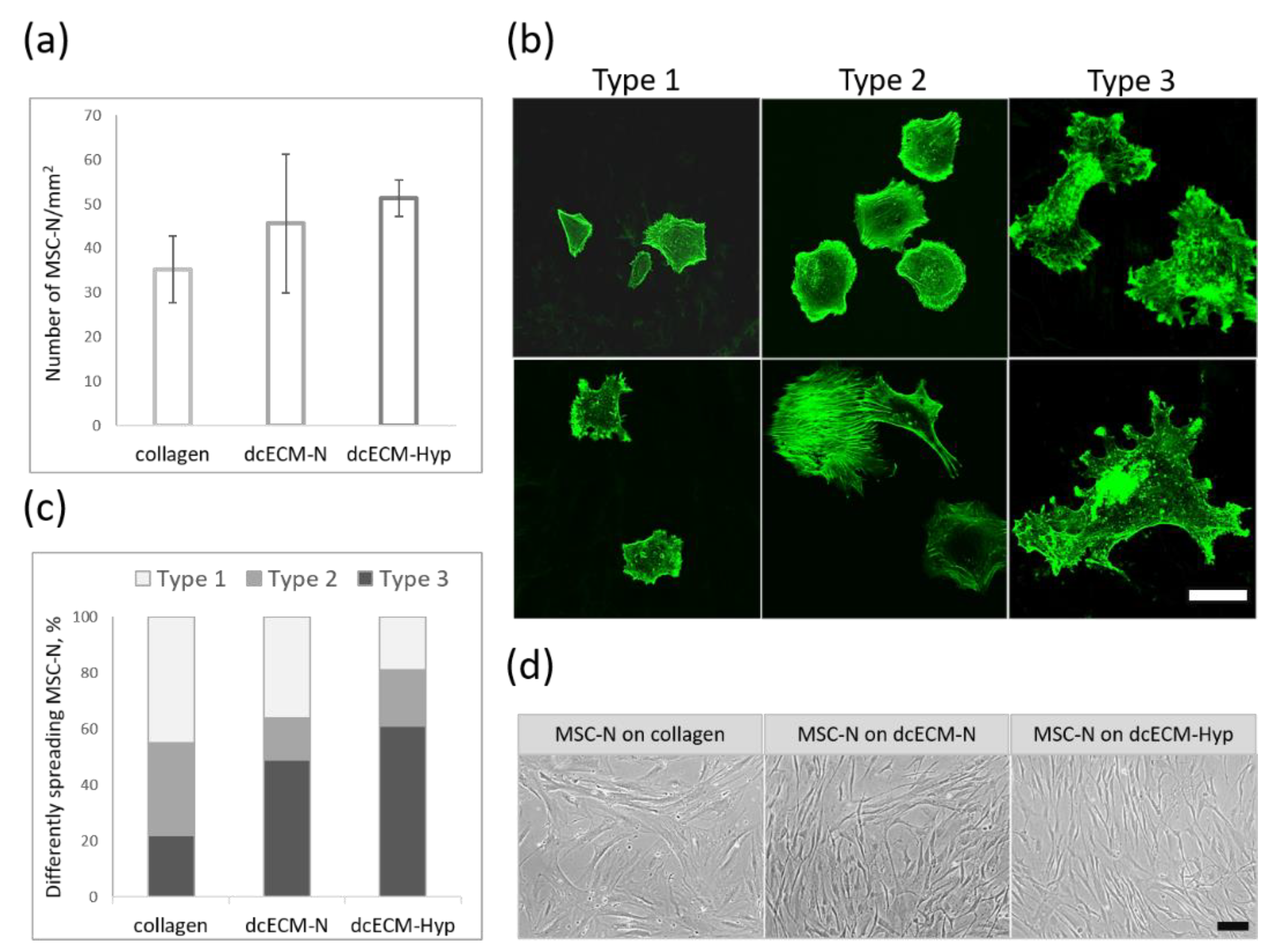 Biomimetics | Free Full-Text | Hypoxic Extracellular Matrix Preserves ...