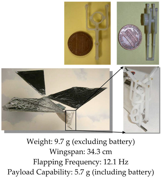 Biomimetics | Free Full-Text | A Retrospective of Project Robo Raven ...