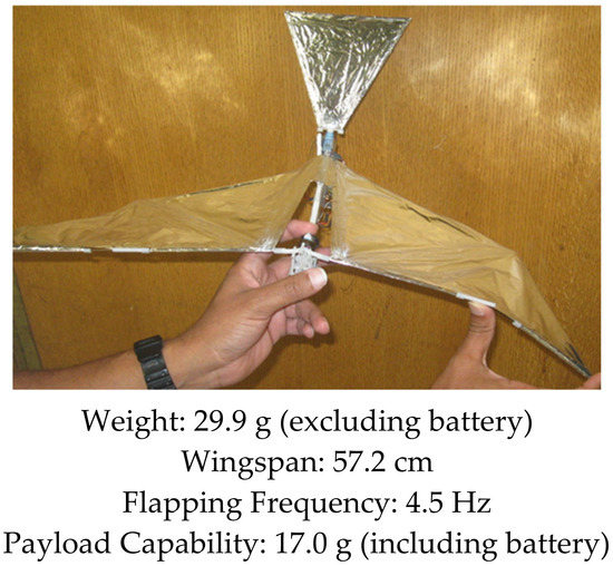 Biomimetics | Free Full-Text | A Retrospective of Project Robo Raven ...