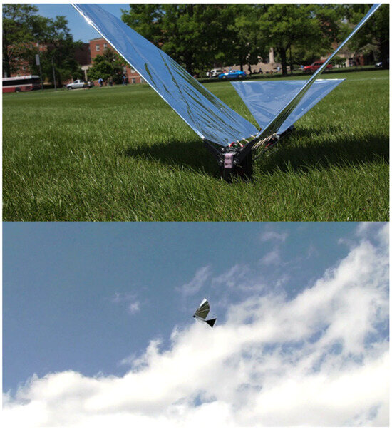 Biomimetics | Free Full-Text | A Retrospective of Project Robo Raven ...