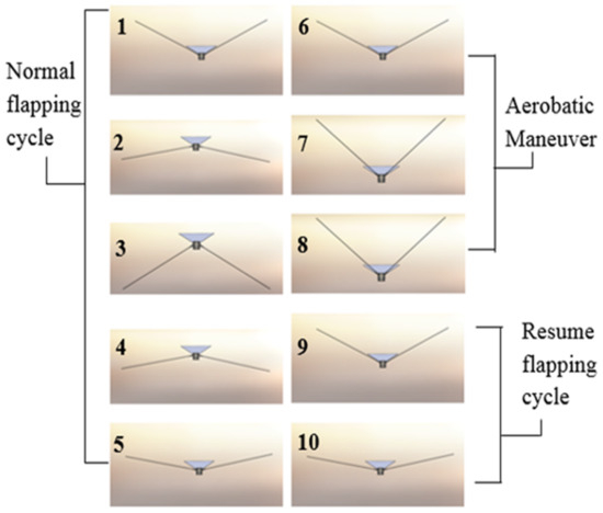 Biomimetics | Free Full-Text | A Retrospective of Project Robo Raven ...