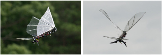 Biomimetics | Free Full-Text | A Retrospective of Project Robo Raven ...