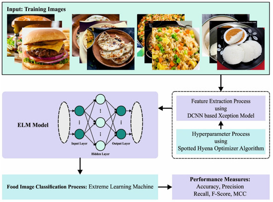 Biomimetics | Free Full-Text | Bio-Inspired Spotted Hyena Optimizer ...