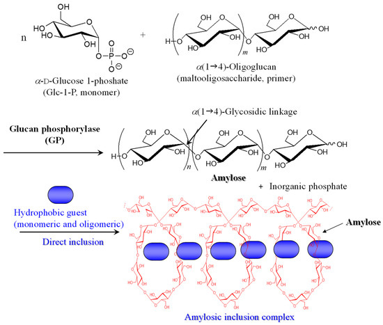 Fabrication of Nanostructured Supramolecules through Helical Inclusion ...
