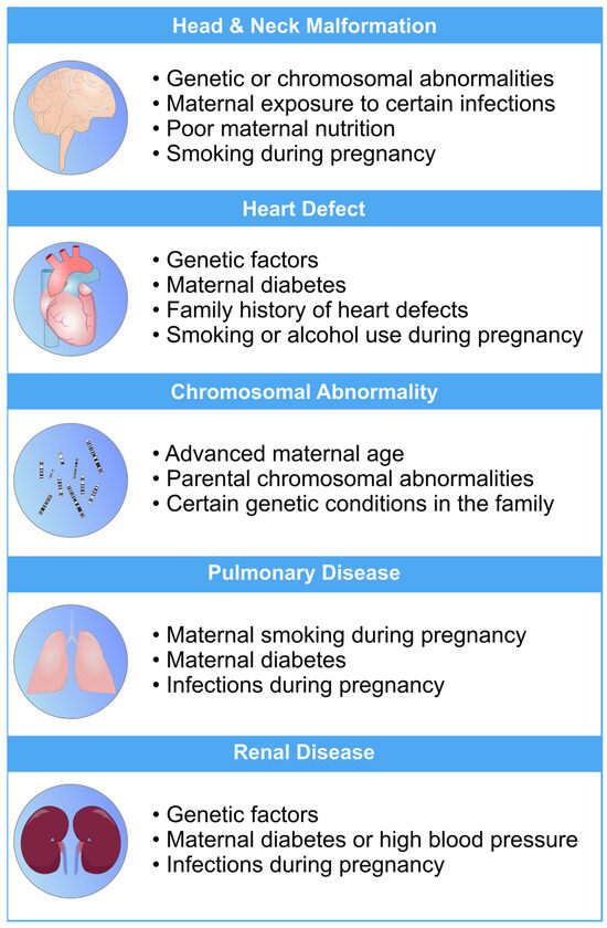 Enhancing Fetal Anomaly Detection in Ultrasonography Images: A Review ...