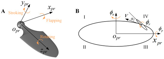 Hydrodynamics of Butterfly-Mode Flapping Propulsion of Dolphin Pectoral ...