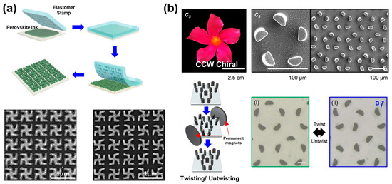 Nature-Inspired Chiral Structures: Fabrication Methods and Multifaceted ...