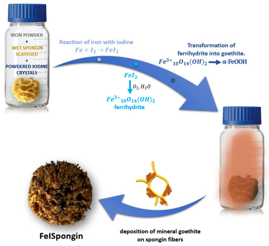 Creation of a 3D Goethite–Spongin Composite Using an Extreme ...