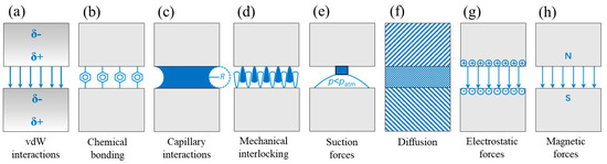 Adhesion Behavior in Fish: From Structures to Applications