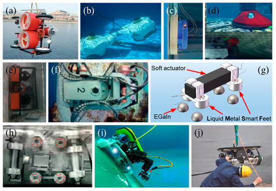 Adhesion Behavior in Fish: From Structures to Applications