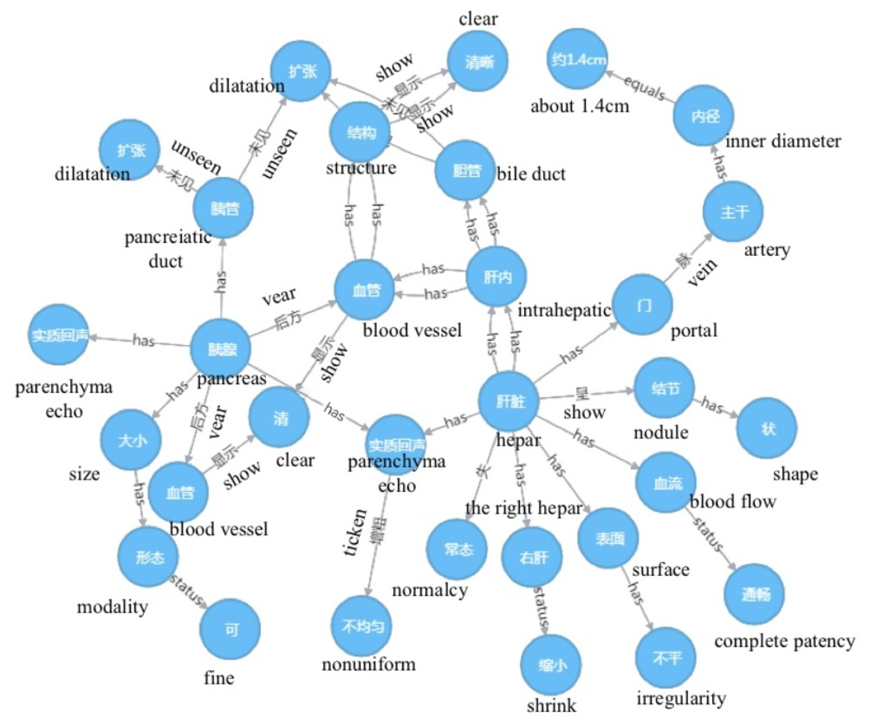 A Visualization Method of Knowledge Graphs for the Computation and Comprehension of Ultrasound ...