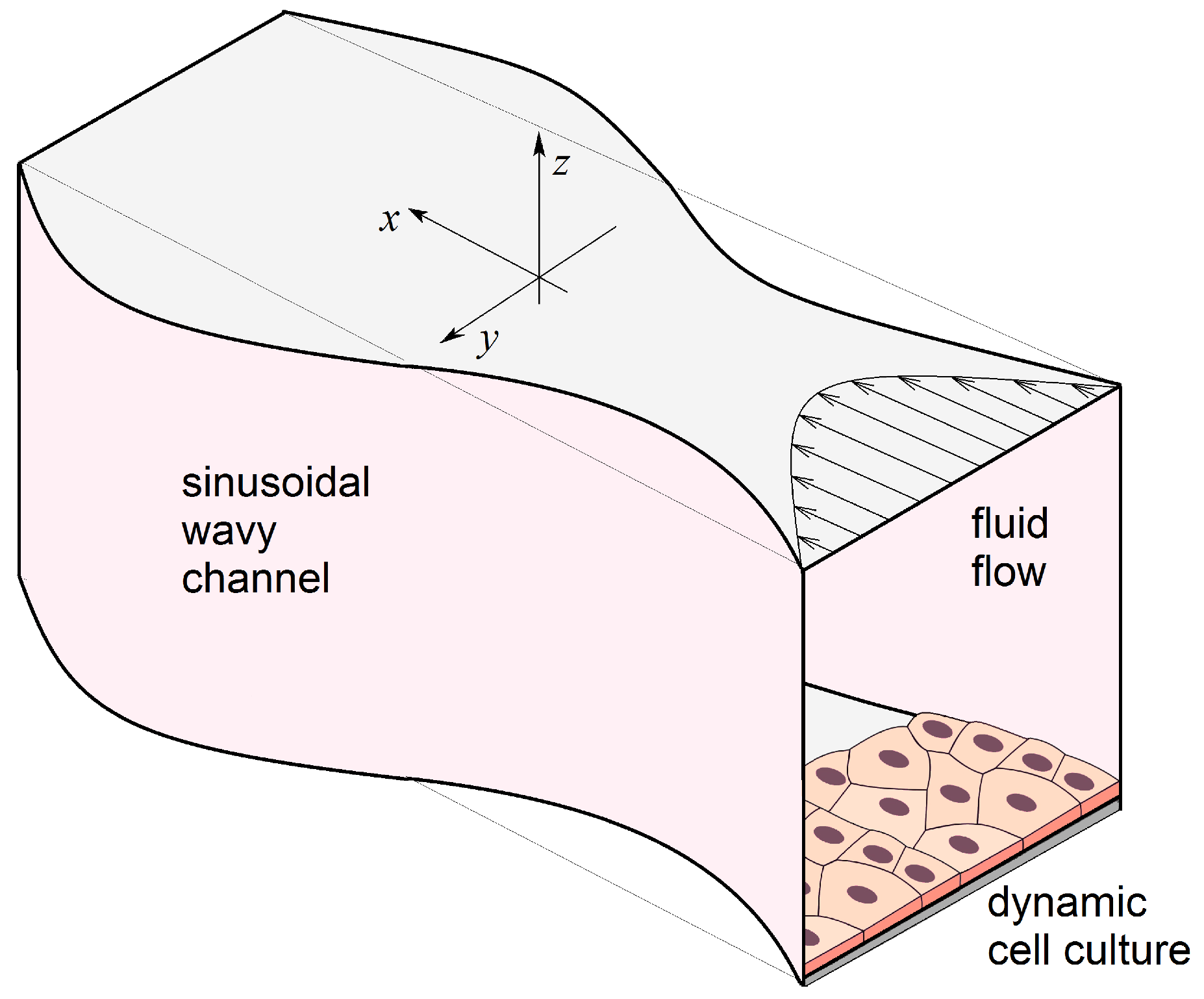 Cell-Based Modeling of Tissue Developing in the Scaffold Pores of ...