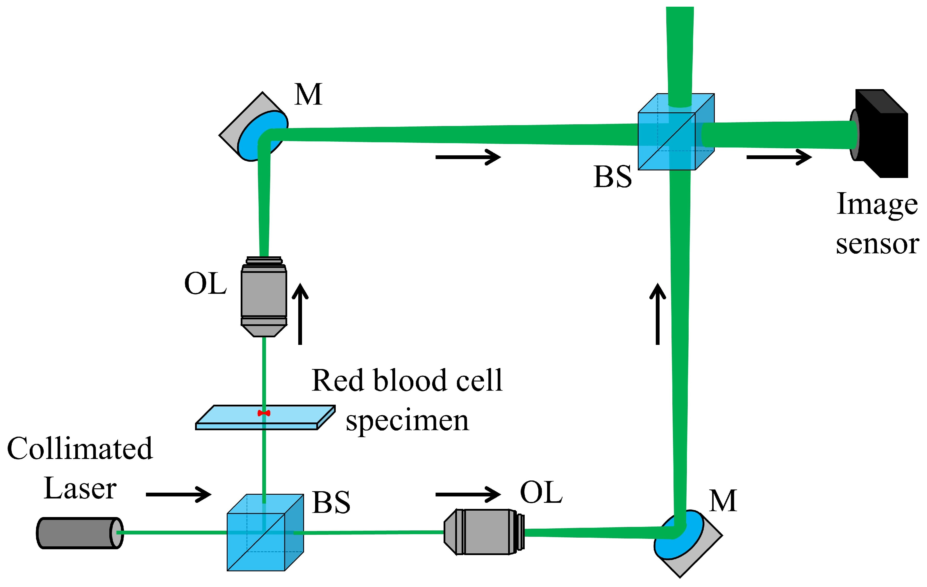 A Novel Image Processing Method for Obtaining an Accurate Three ...