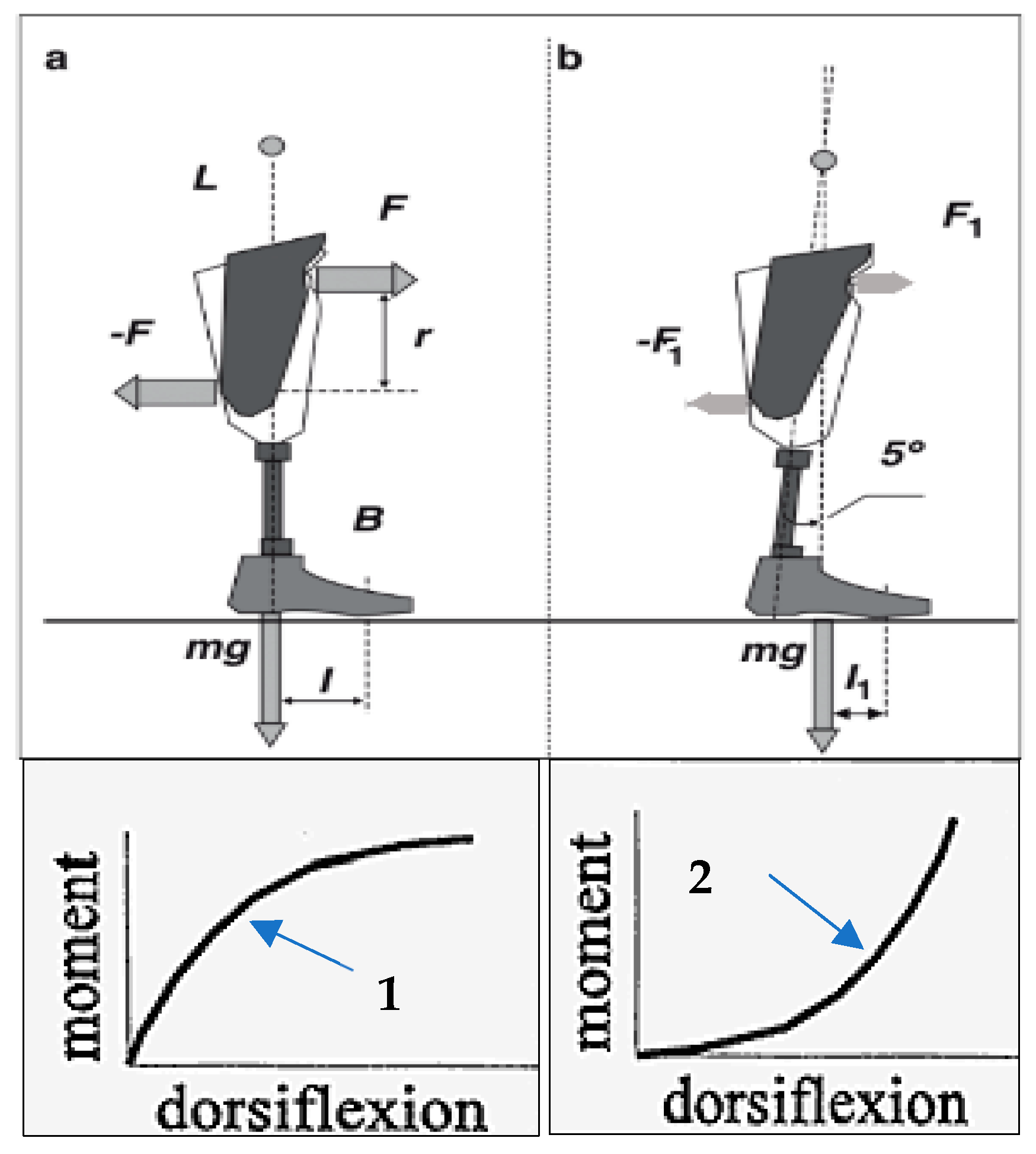 Biomimetics | Free Full-Text | The Moment Criterion of ...