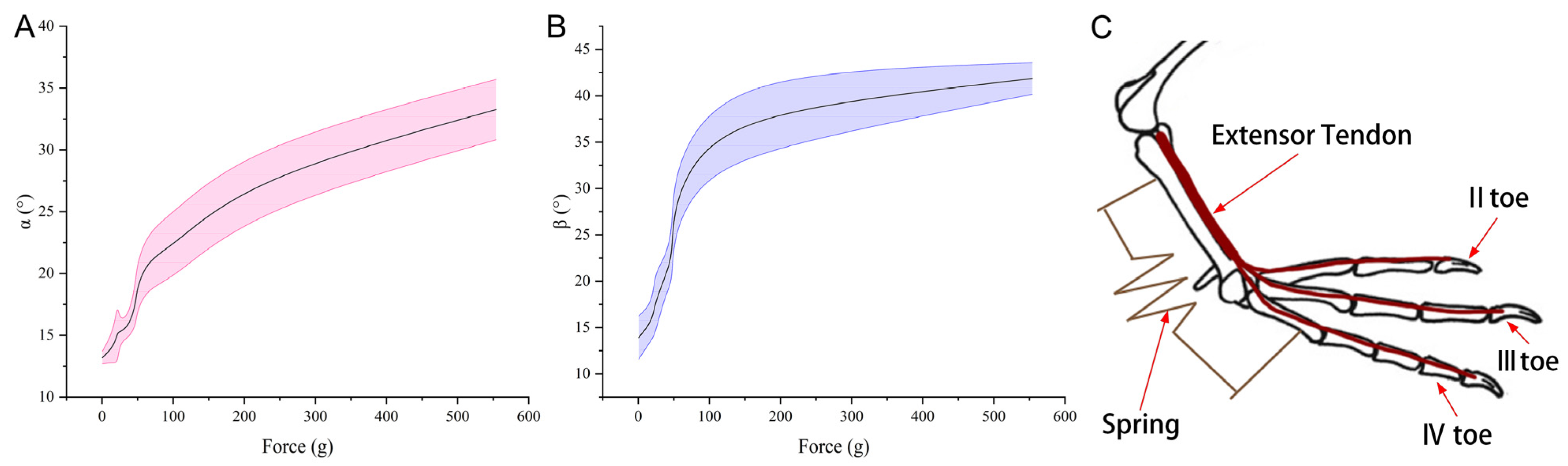 From the Analysis of Anatomy and Locomotor Function of Biological Foot ...