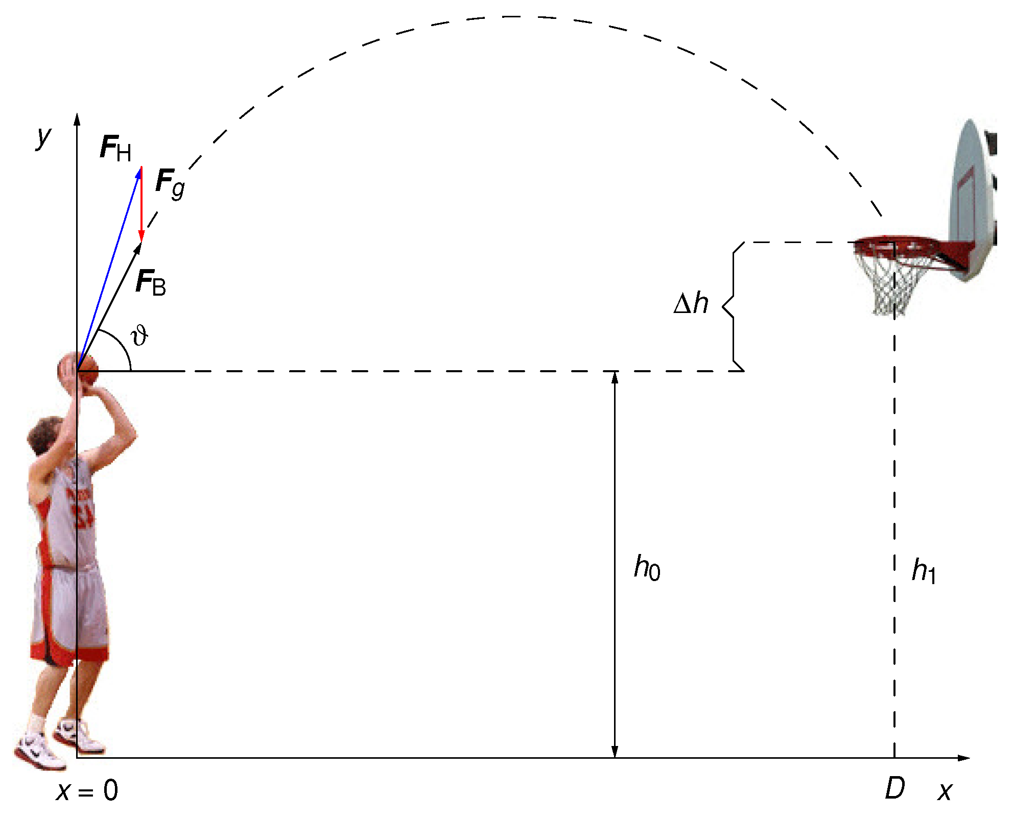 Parabola In Basketball