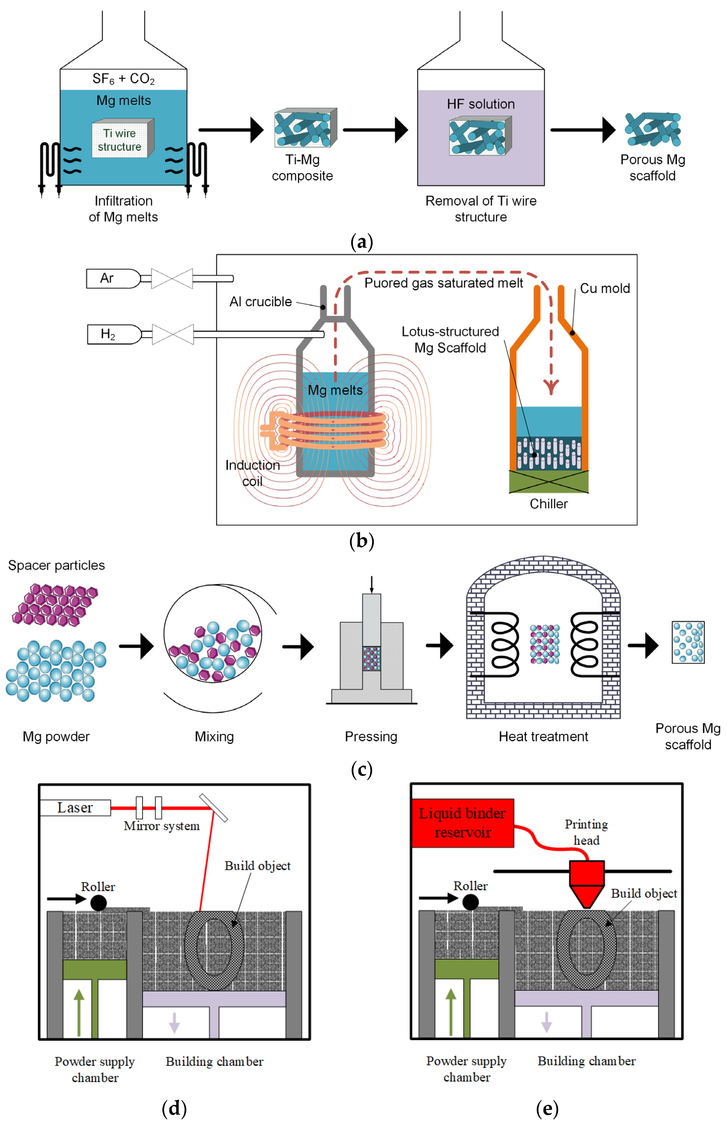 Bone Regeneration Induced by Patient-Adapted Mg Alloy-Based Scaffolds ...