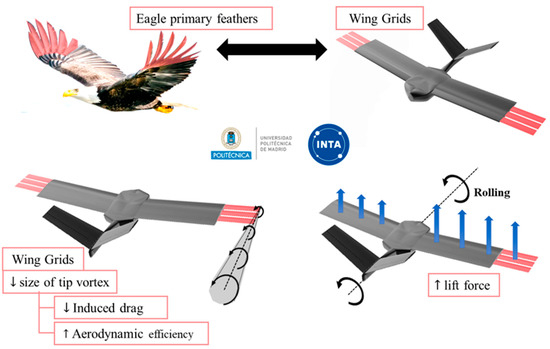 Computational Study of Aerodynamic Effects of the Dihedral and Angle of Attack of Biomimetic ...