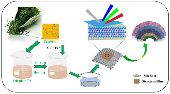 Biomimetics | Free Full-Text | Preparation of Natural Plant Polyphenol ...