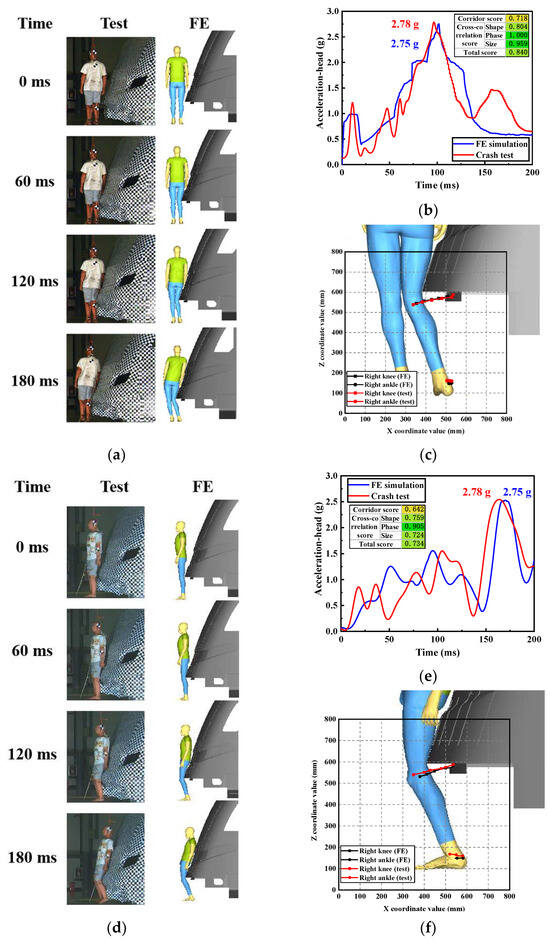 Assessment of Pedestrians’ Head and Lower Limb Injuries in Tram ...