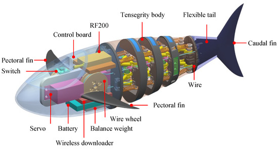 Design and Analysis of a Novel Bionic Tensegrity Robotic Fish with a Continuum Body