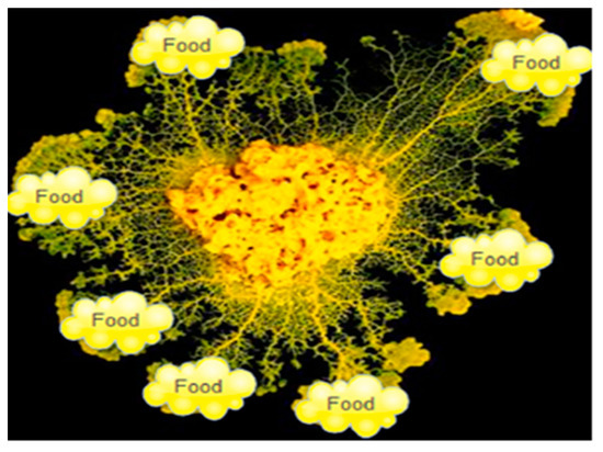 Advances in Slime Mould Algorithm: A Comprehensive Survey