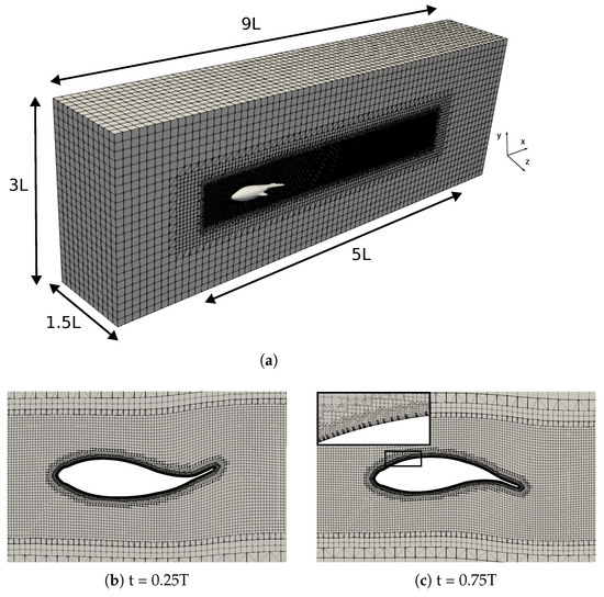 Numerical Investigation of Dimensionless Parameters in Carangiform Fish ...