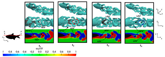Numerical Investigation of Dimensionless Parameters in Carangiform Fish ...