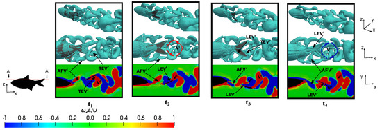 Numerical Investigation of Dimensionless Parameters in Carangiform Fish ...