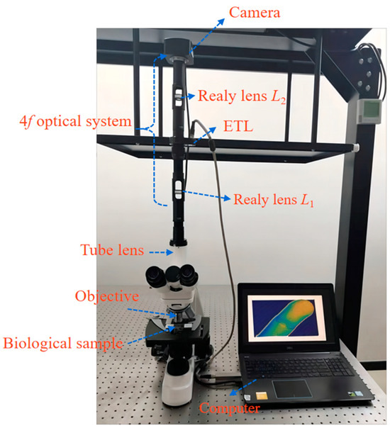 Colorful 3D Reconstruction and an Extended Depth of Field for a ...