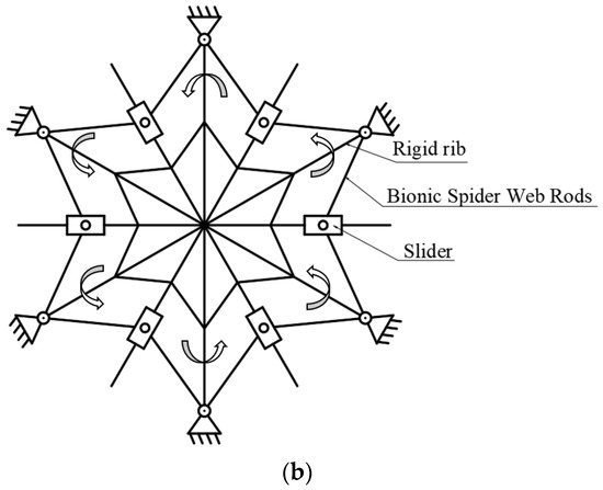 Biomimetic Design of a New Semi-Rigid Spatial Mesh Antenna Reflector