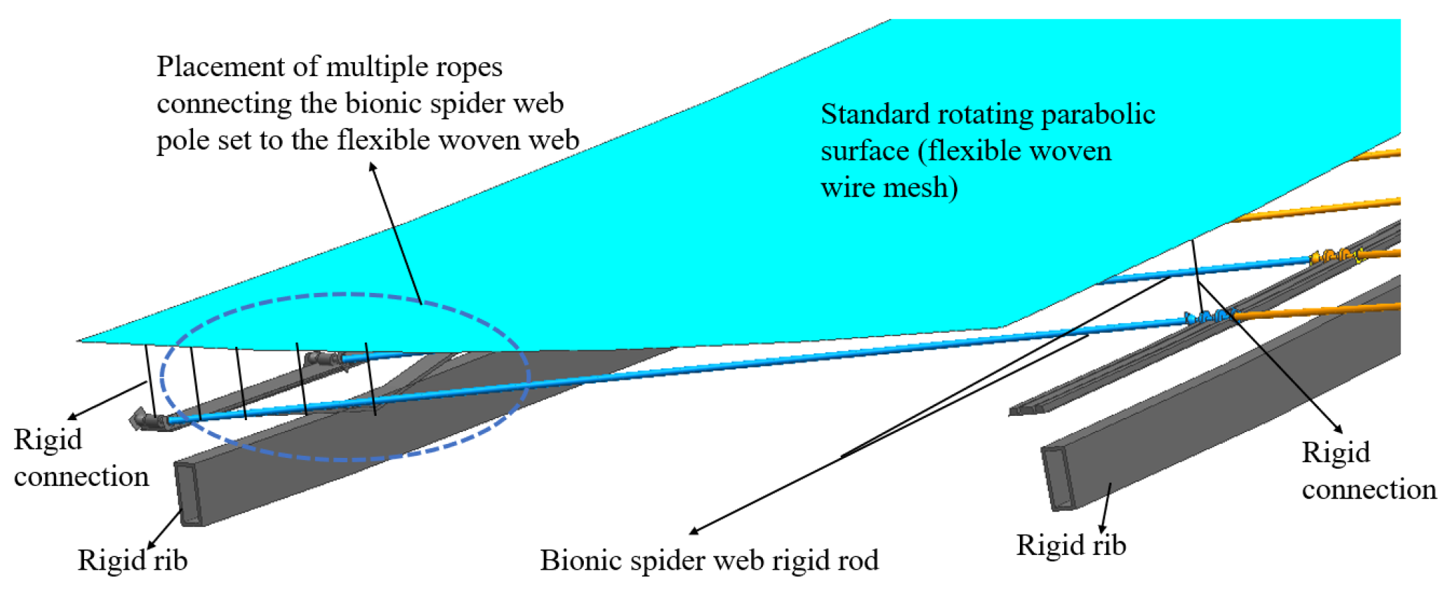 Biomimetic Design of a New Semi-Rigid Spatial Mesh Antenna Reflector