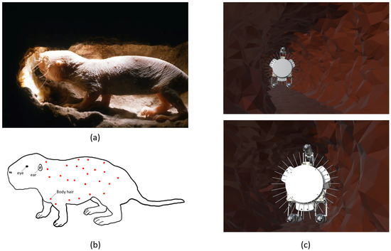 Bioinspired Whisker Sensor for 3D Mapping of Underground Mining ...