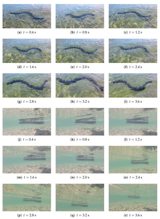 Bioinspired Design and Experimental Validation of an Aquatic Snake Robot
