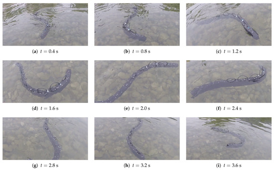 Bioinspired Design and Experimental Validation of an Aquatic Snake Robot