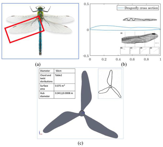 Nature-Inspired Designs in Wind Energy: A Review